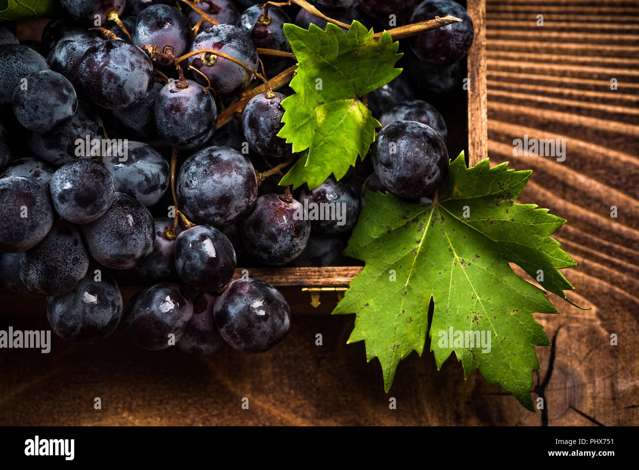 Dark vine hi-res stock photography and images - Alamy