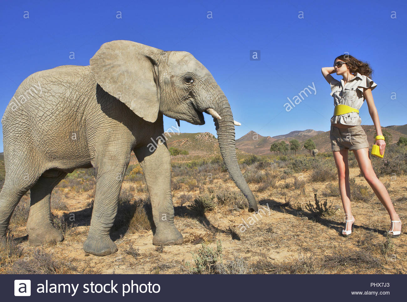 Young Woman On Elephant Stock Photos & Young Woman On Elephant Stock ...