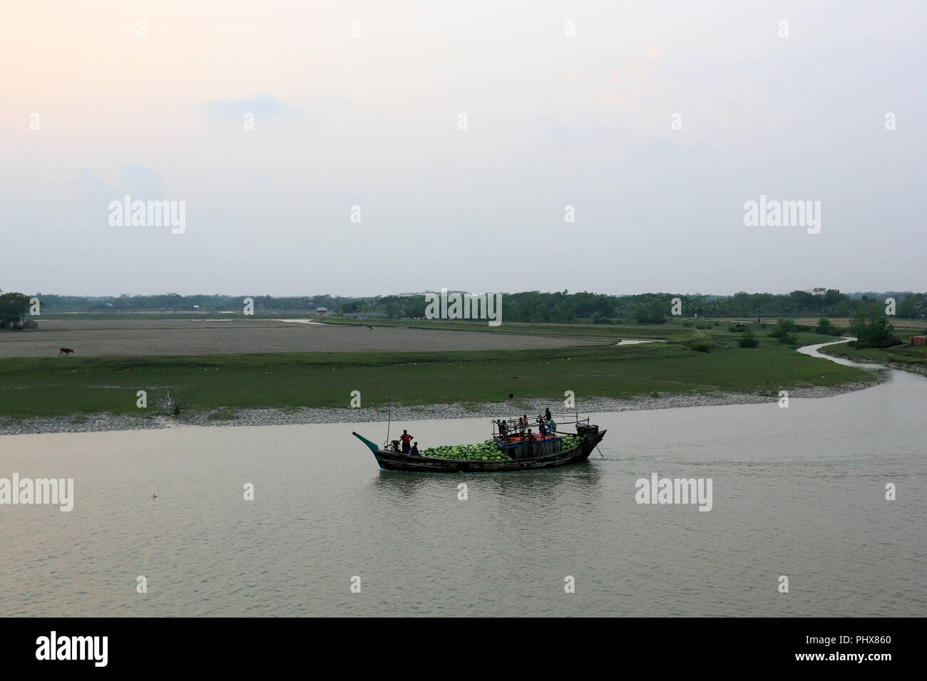Transportation of watermelon by boat through Tetulia River in ...