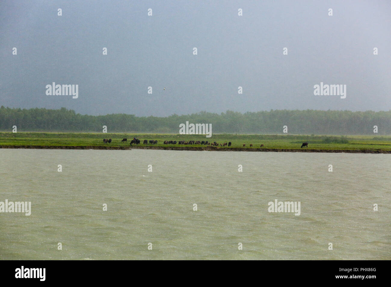 Tetulia River, Patuakhali, Bangladesh Stock Photo - Alamy