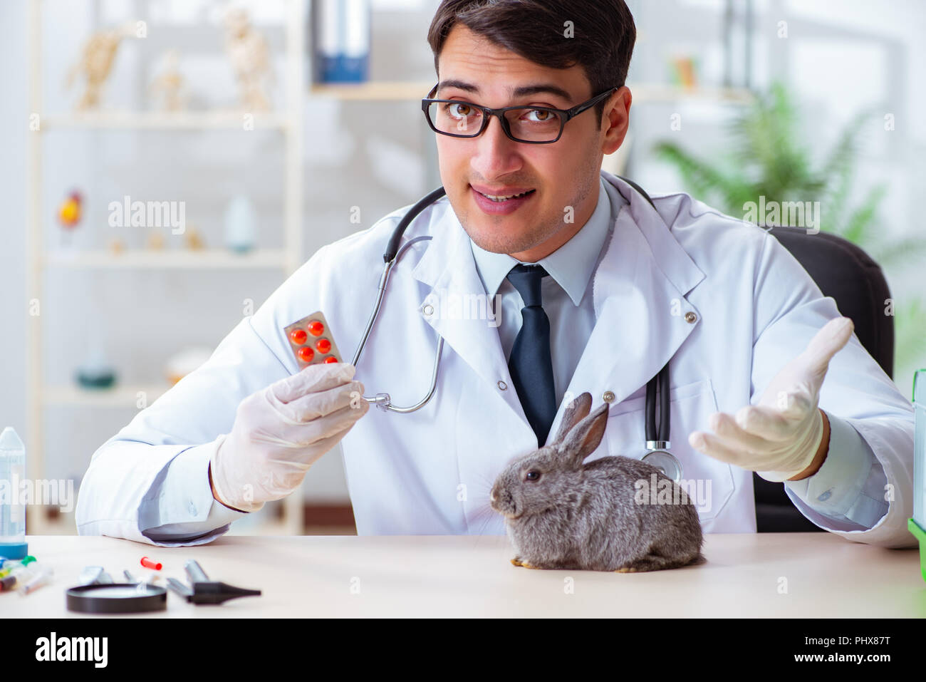 Scientist experimenting on animals hi-res stock photography and images ...