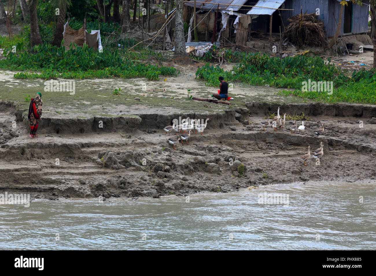 Erosion on the bank of Tetulia River, Patuakhali, Bangladesh Stock ...