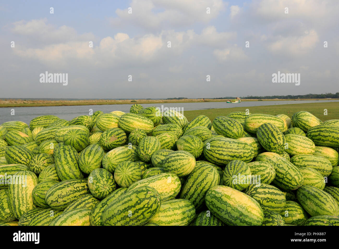 Huge watermelons hi-res stock photography and images - Alamy