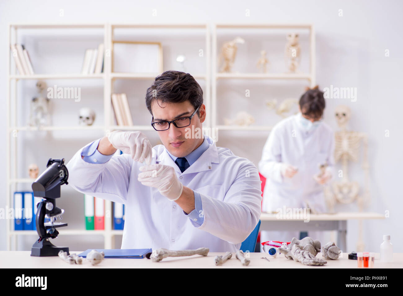 Professor studying human skeleton in lab Stock Photo - Alamy