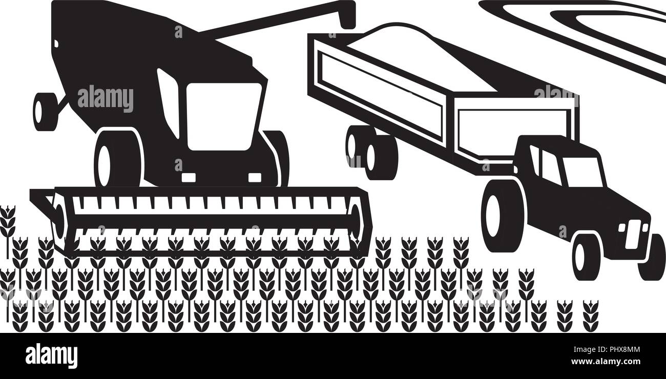 Combine harvester and tractor in the field - vector illustration Stock ...