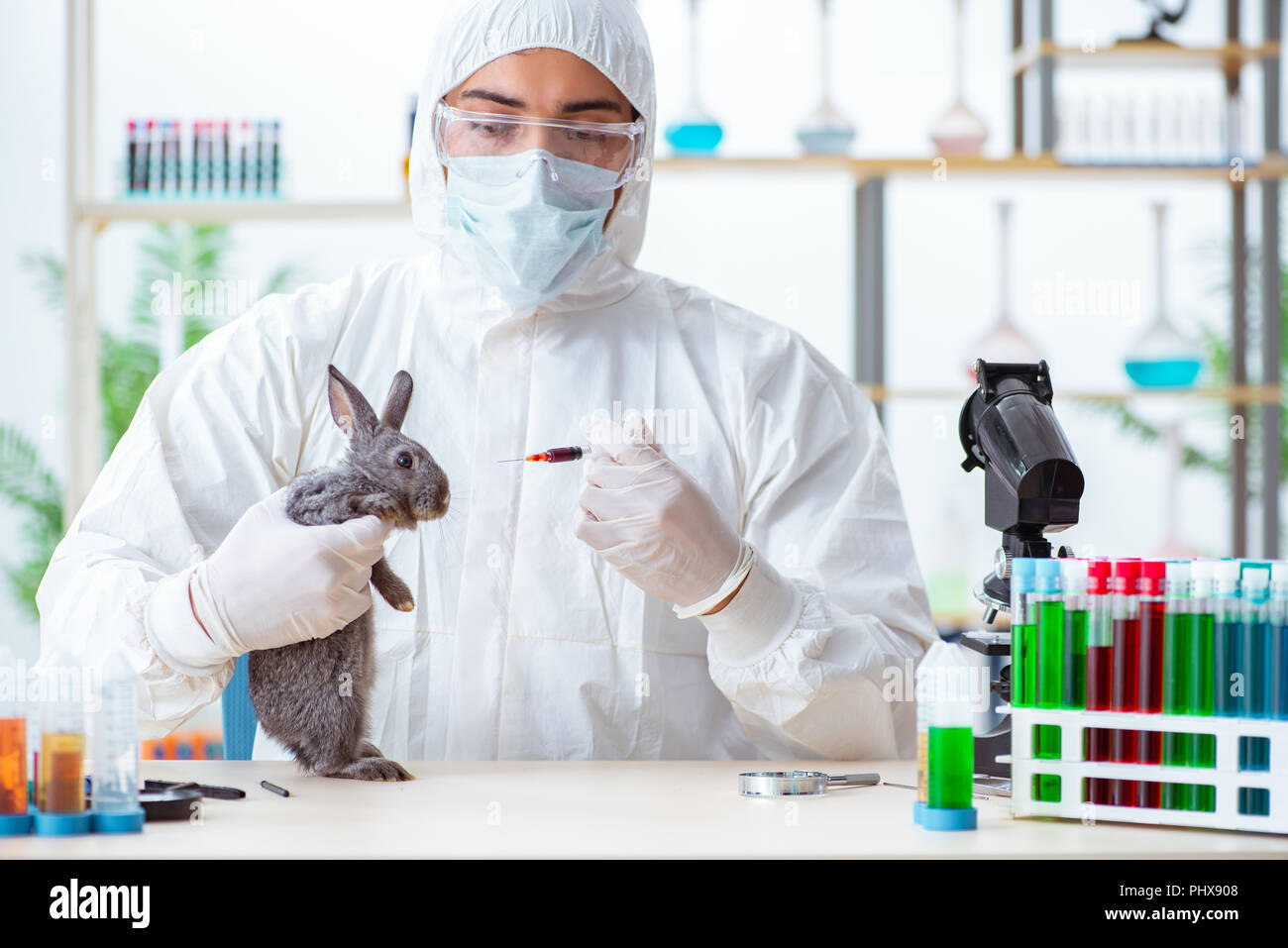 Vet doctor checking up rabbit in his clinic Stock Photo - Alamy