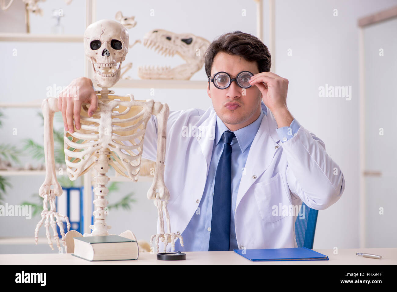 Crazy professor studying human skeleton Stock Photo - Alamy