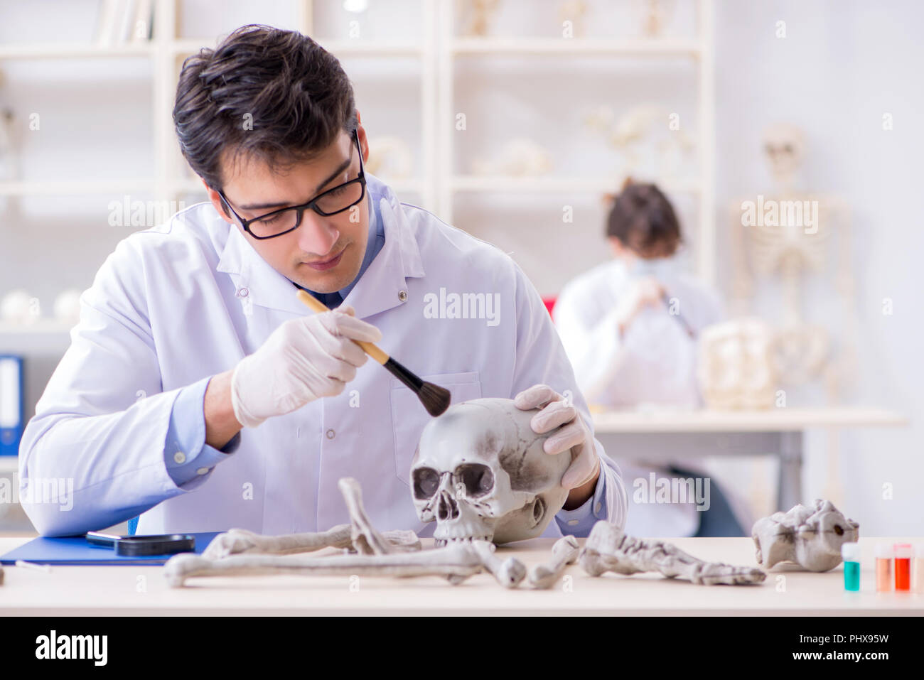 Professor studying human skeleton in lab Stock Photo - Alamy