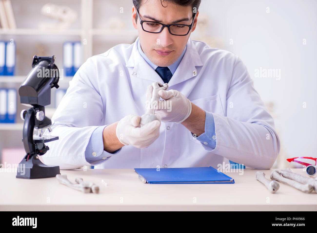 Professor studying human skeleton in lab Stock Photo - Alamy