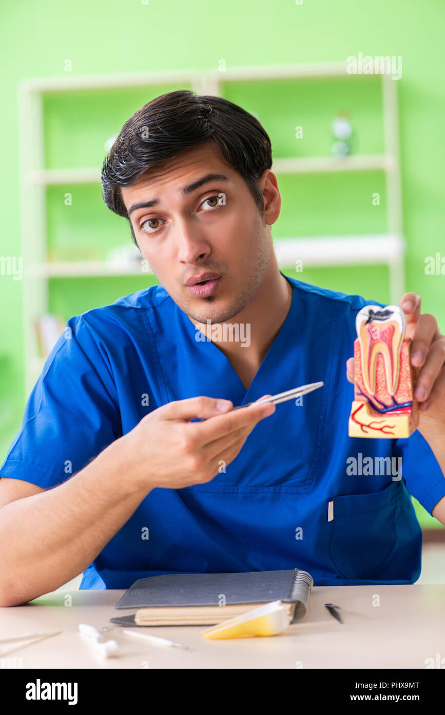Young dentist practicing work on tooth model Stock Photo - Alamy