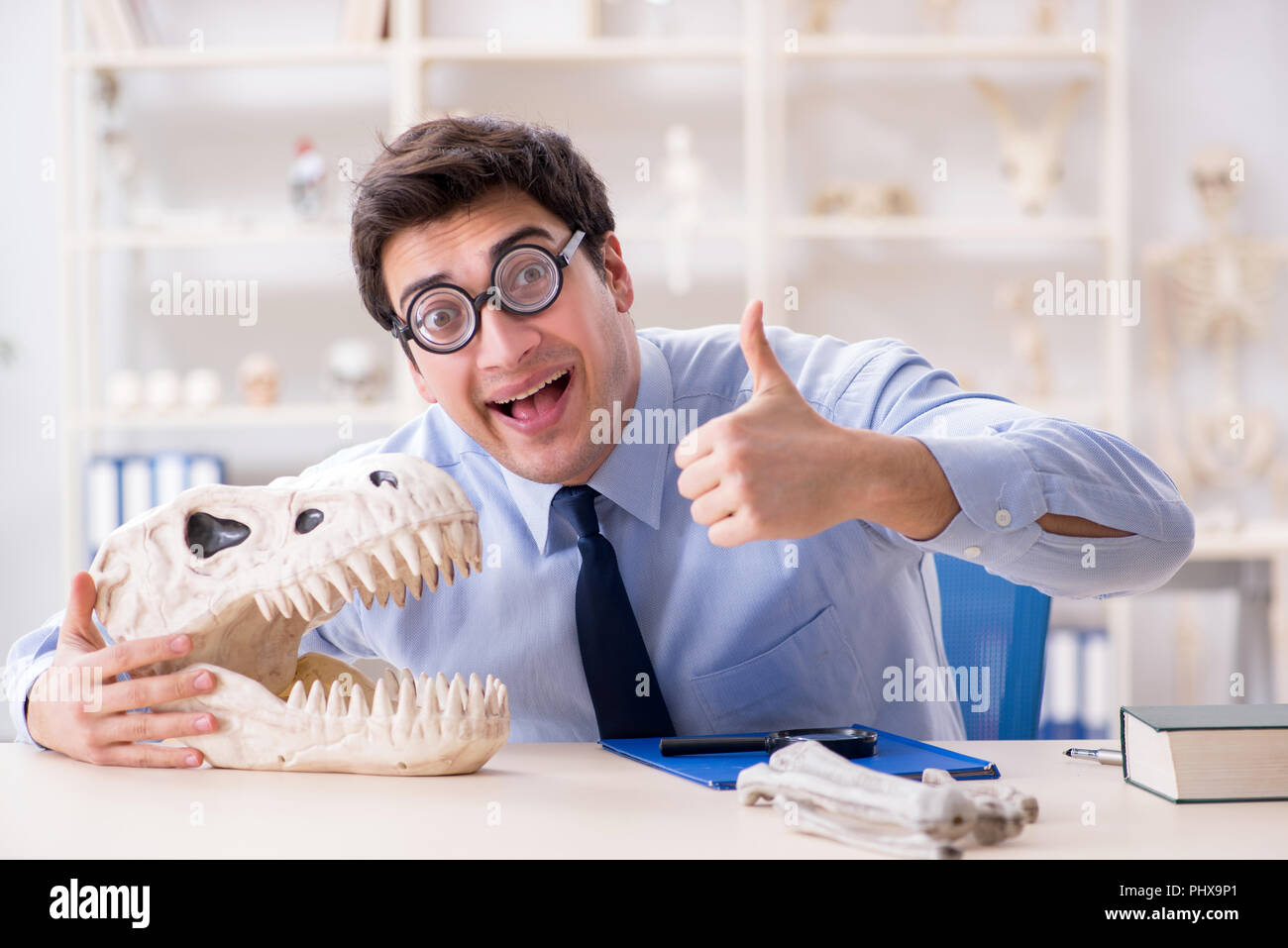 Funny crazy professor studying dinosaur skeleton Stock Photo - Alamy