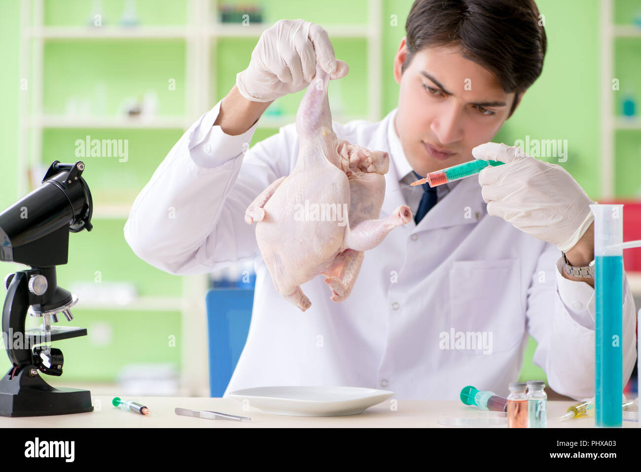 Lab assistant testing GMO chicken Stock Photo - Alamy