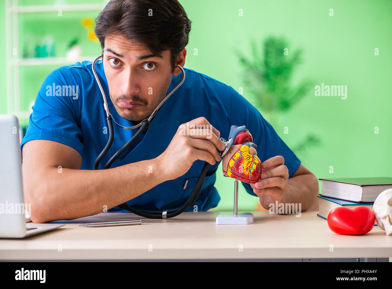 Doctor student explaining heart problems Stock Photo - Alamy