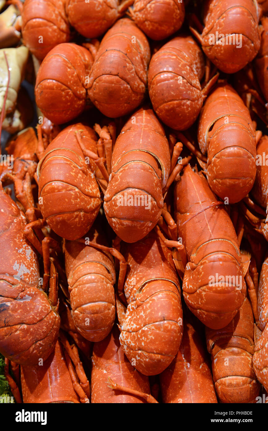 Cervical lobster on display seafood market Stock Photo - Alamy