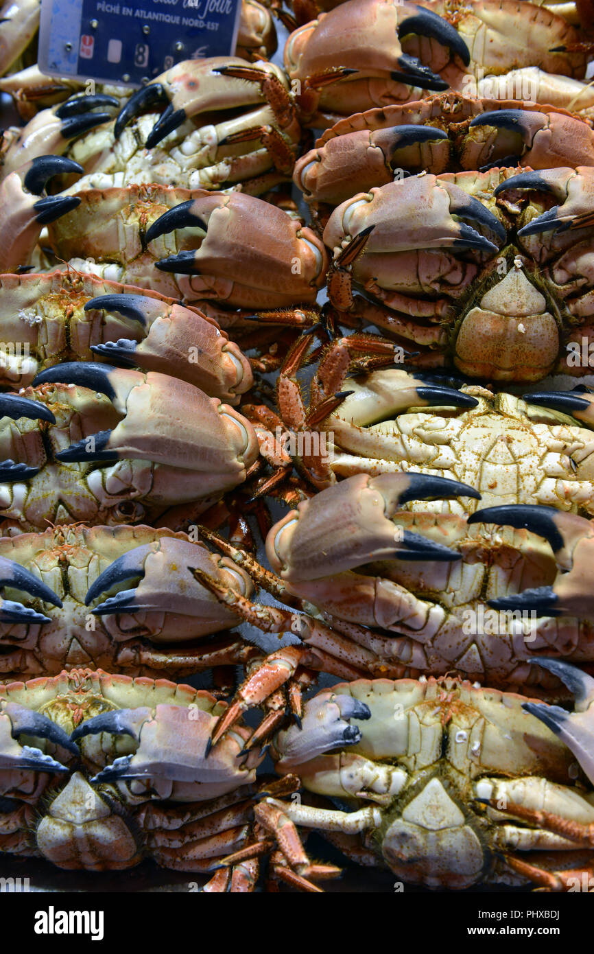 Crabs on a market show-window Stock Photo - Alamy