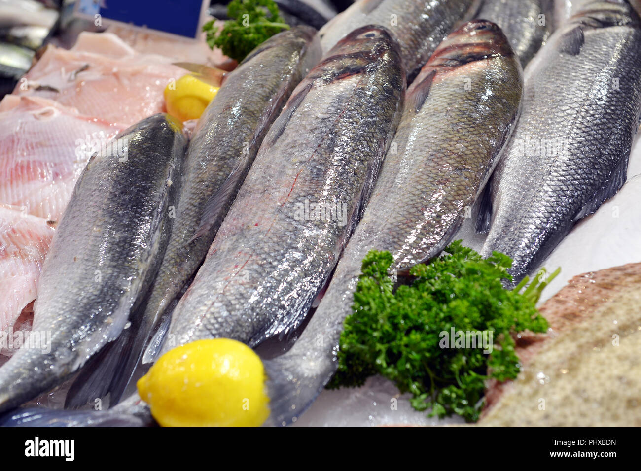 showcase of seafood in the sea market Stock Photo - Alamy