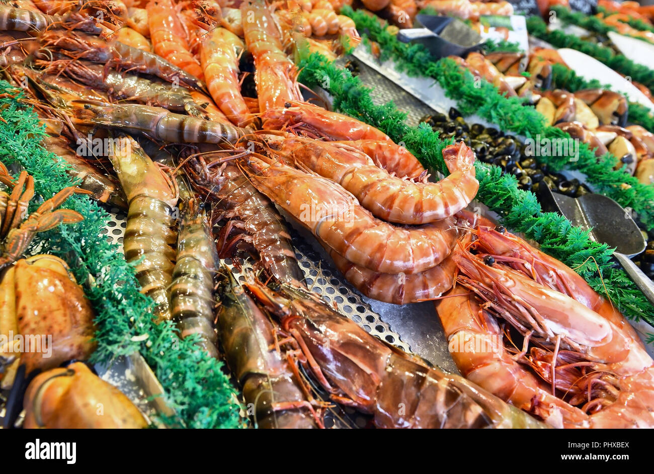 showcase of seafood in the sea market Stock Photo - Alamy