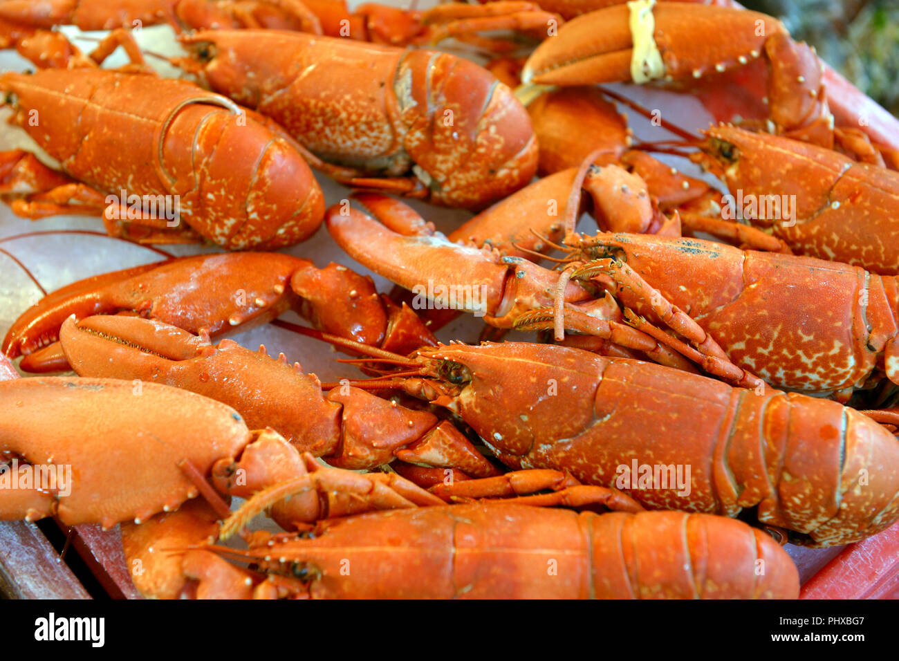 Cervical lobster on display seafood market Stock Photo - Alamy