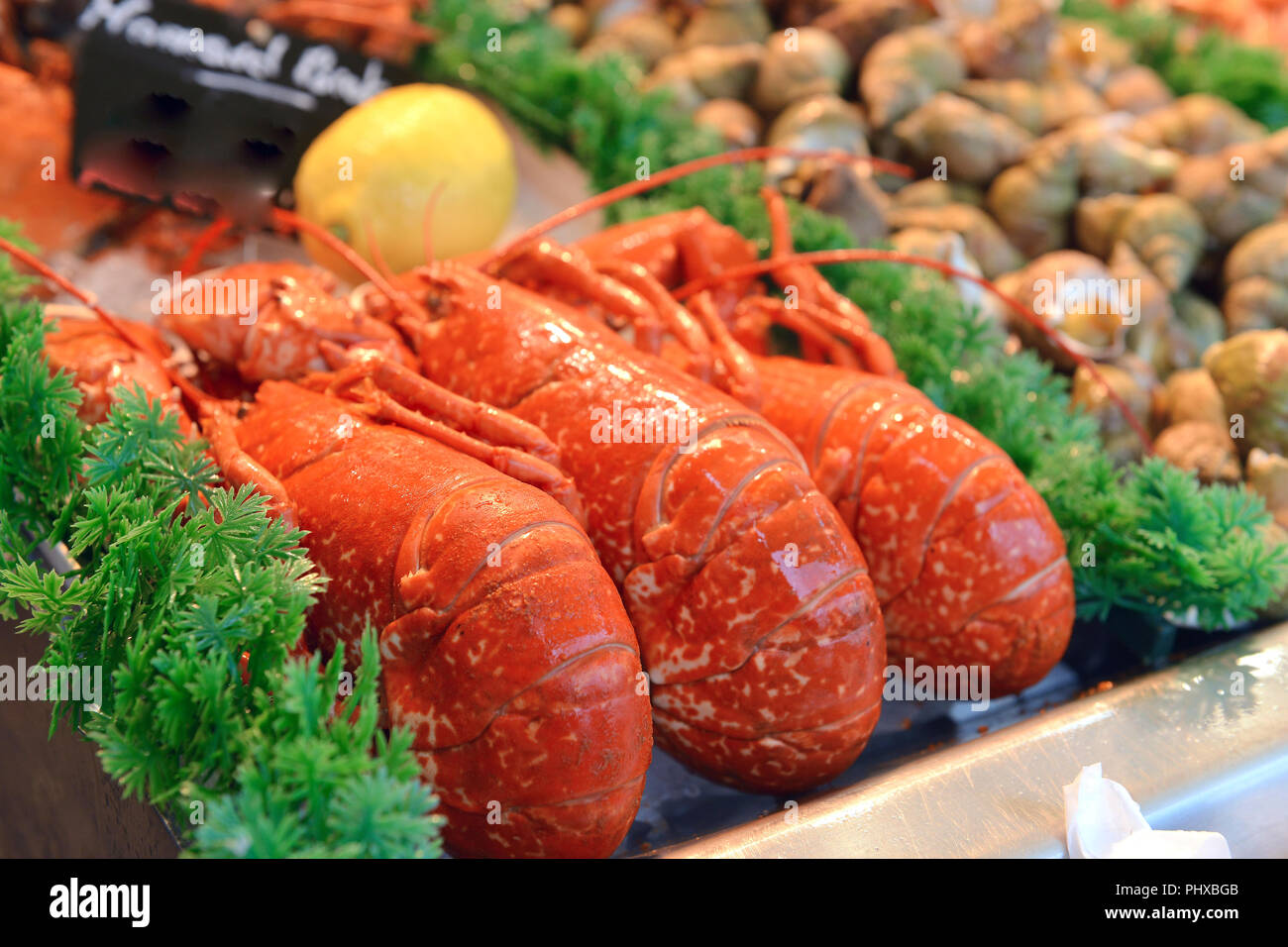 Cervical lobster on display seafood market Stock Photo - Alamy