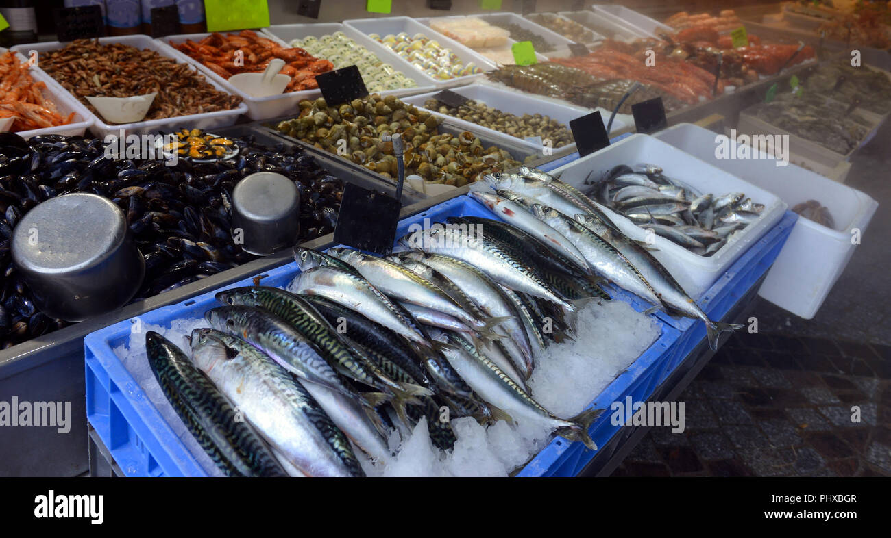 showcase of seafood in the sea market Stock Photo - Alamy