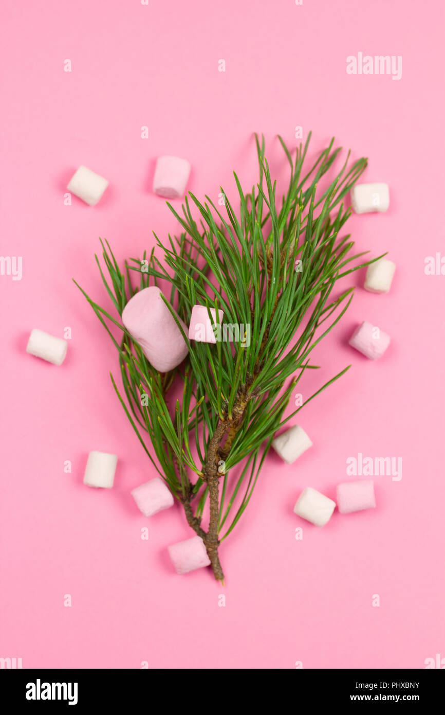 top view fir branch on a pastel pink background, winter holiday card ...
