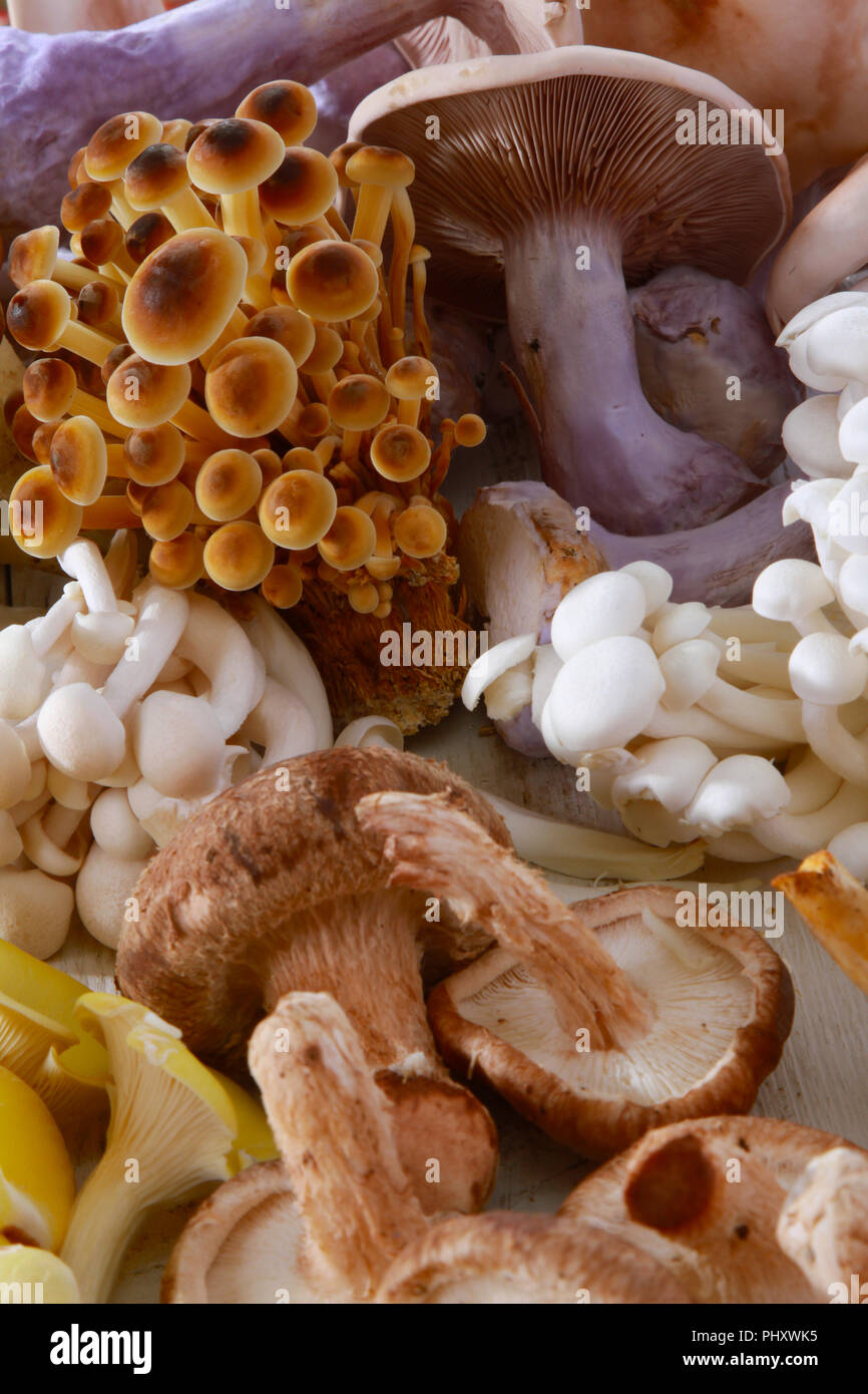 a selection of fresh uncooked exotic mushroom varieties Stock Photo - Alamy