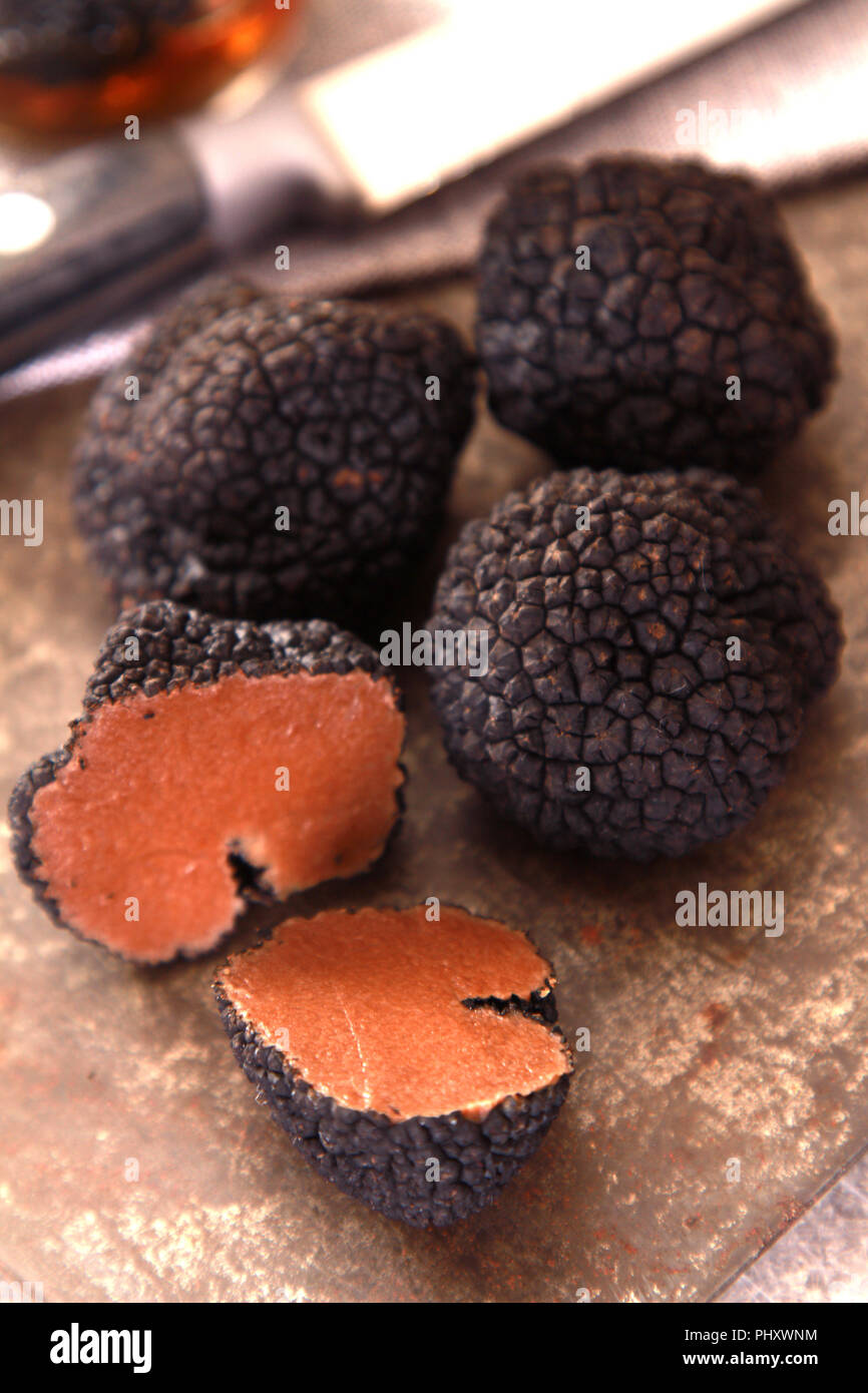 preparing fresh black ground truffles Stock Photo - Alamy