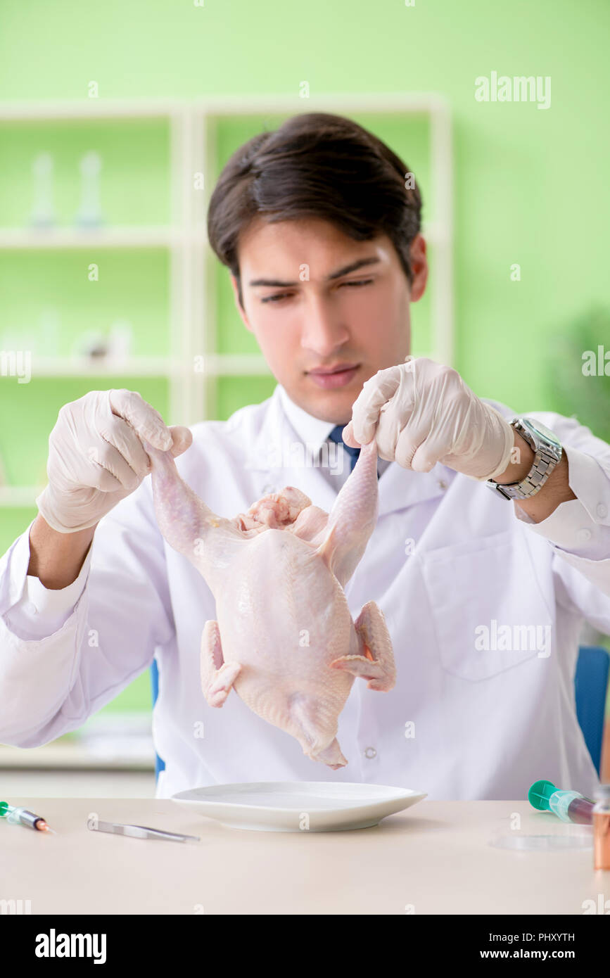 Genetic engineering chicken hi-res stock photography and images - Alamy