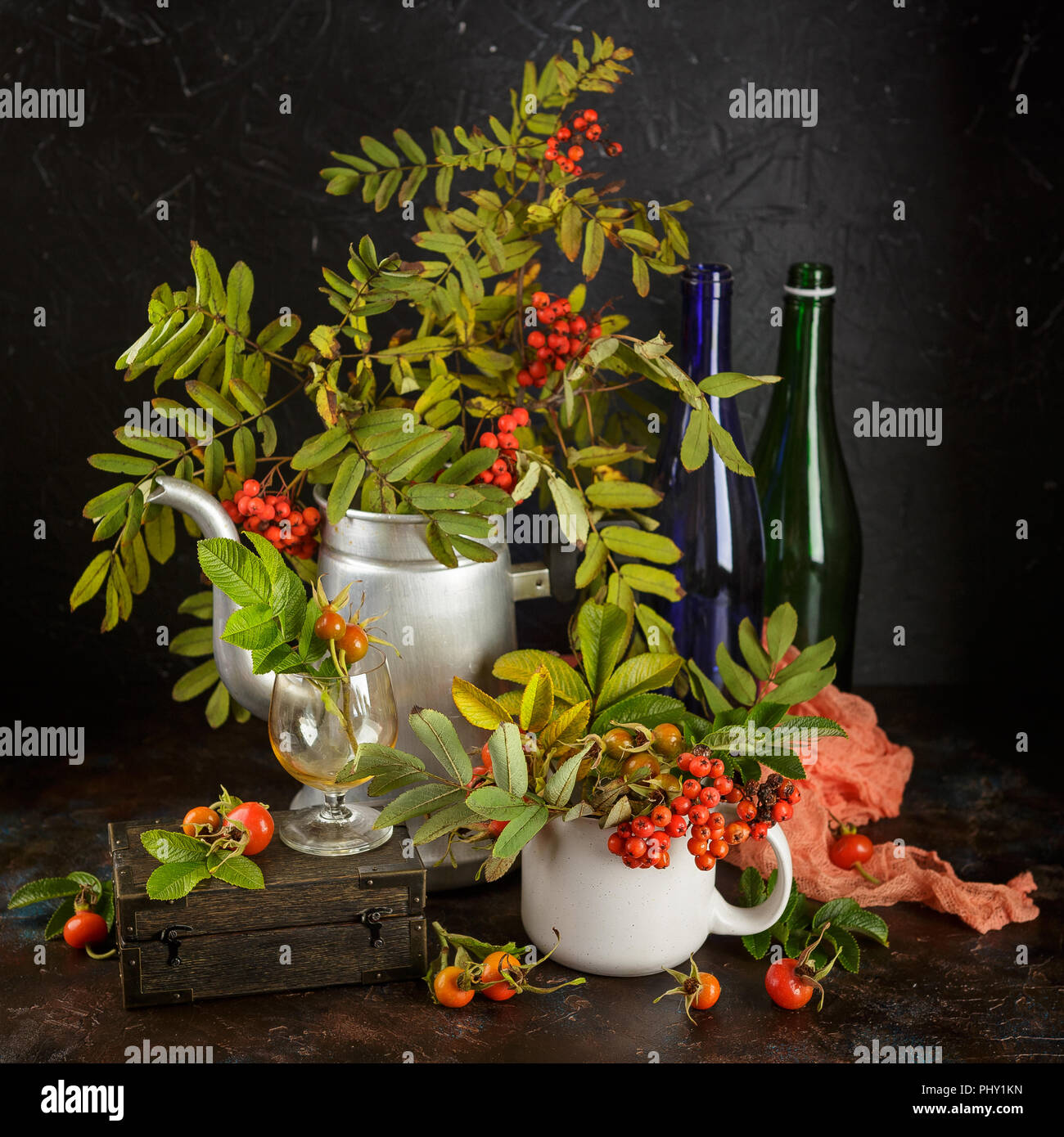 Rowan and dog rose leaves hi-res stock photography and images - Alamy