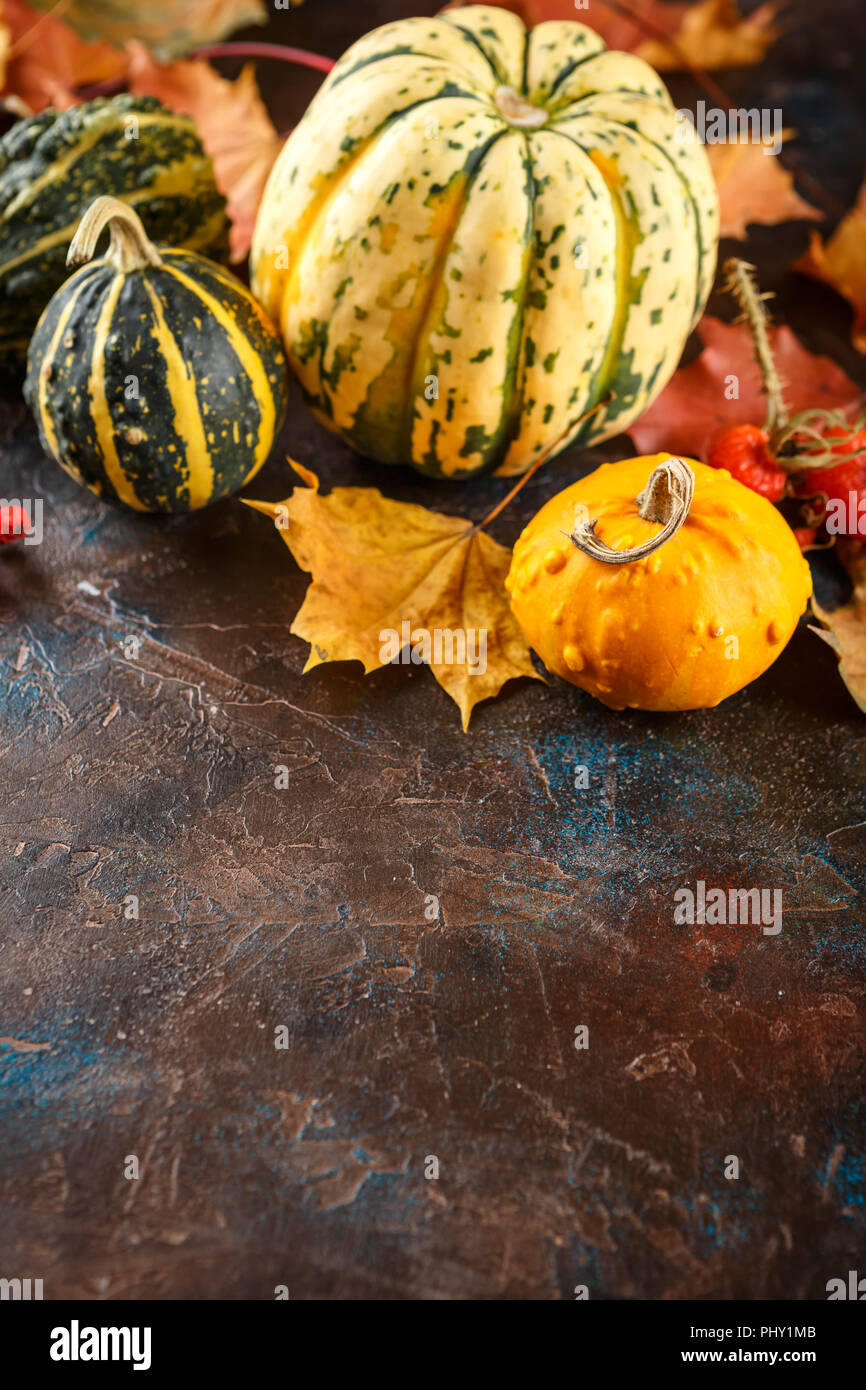 Small pumpkins hi-res stock photography and images - Alamy