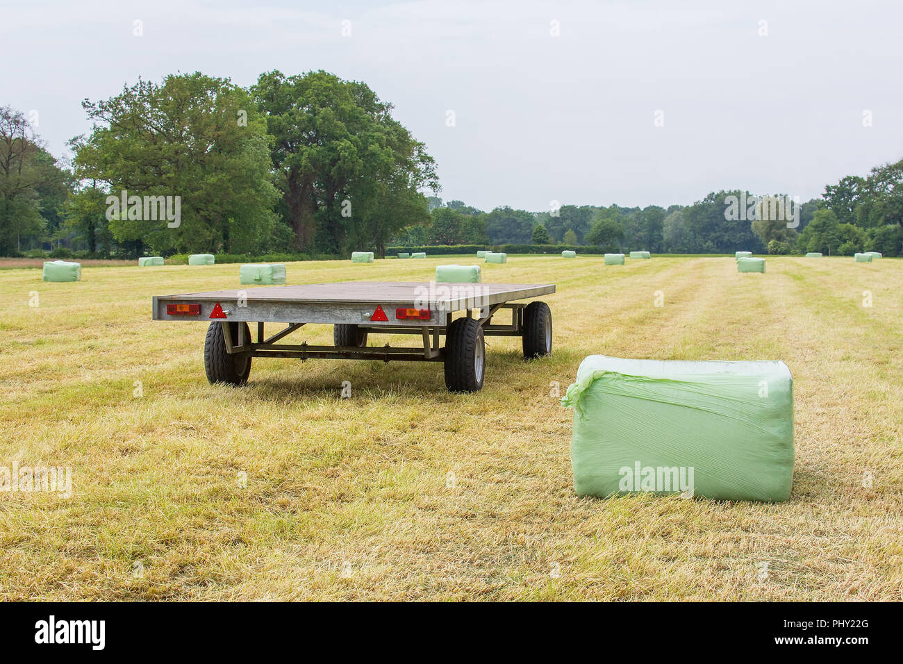Compressed grass hi-res stock photography and images - Alamy
