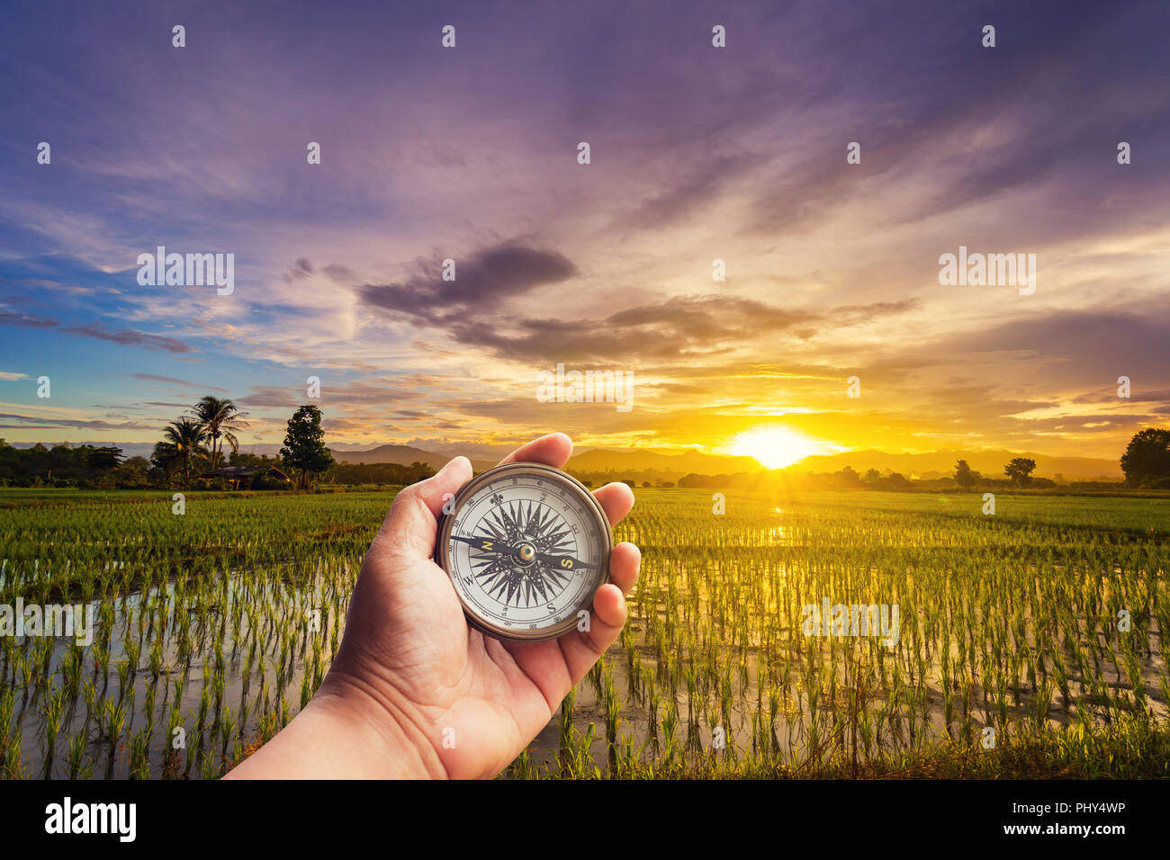 A man holding compass on hand at field and sunset for navigation guide ...