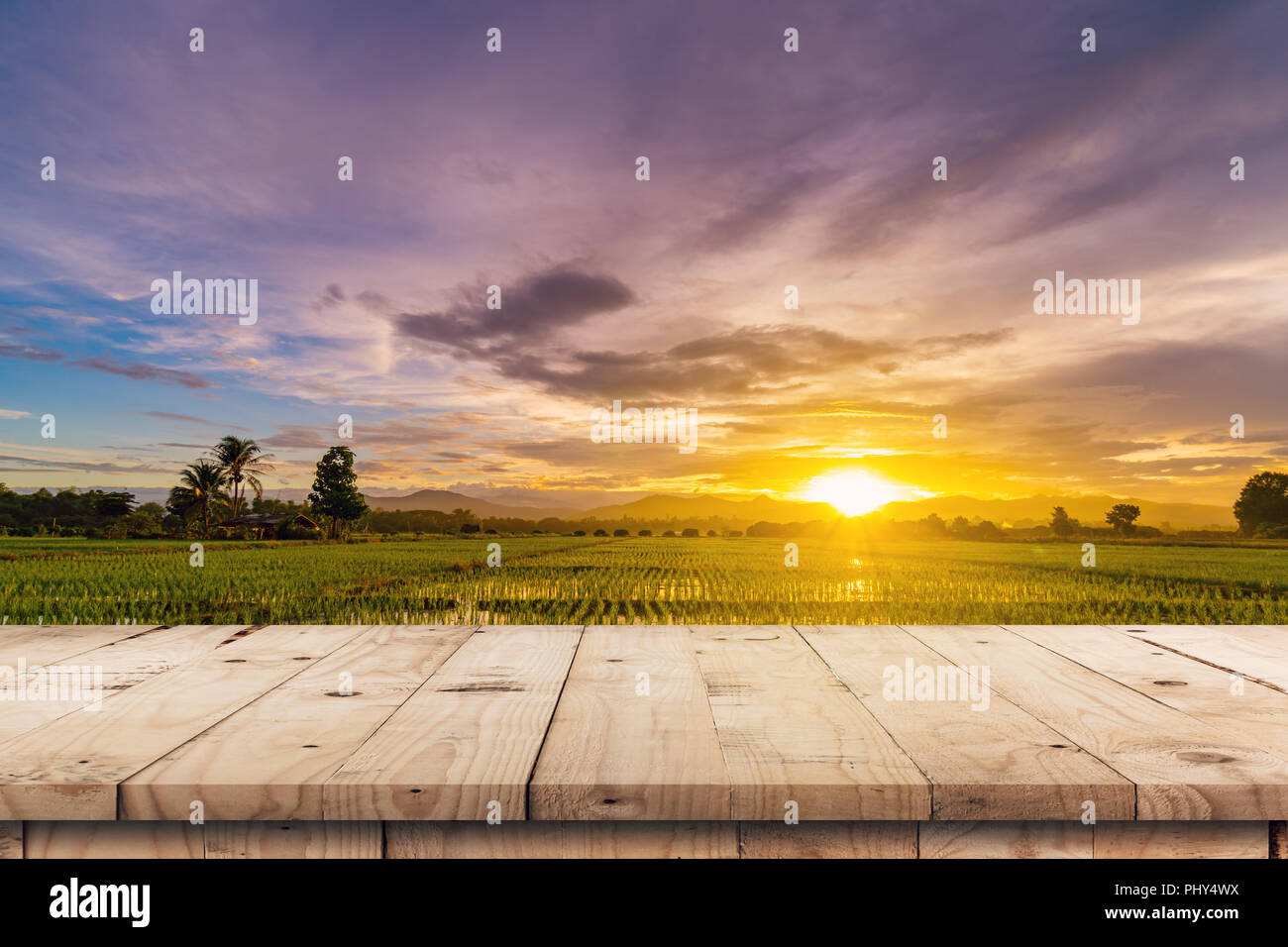 Rice field sunset and Empty wood table for product display and montage ...