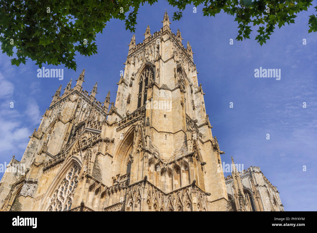 York. Minster. Cathedral Stock Photo - Alamy