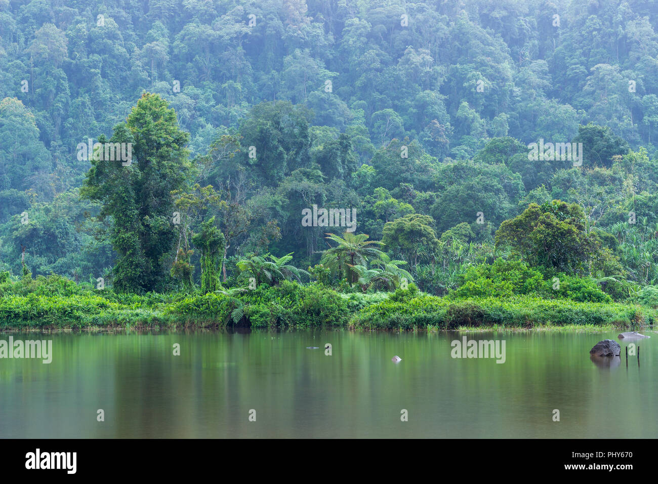 Beautiful lake fresh green forest hi-res stock photography and images ...