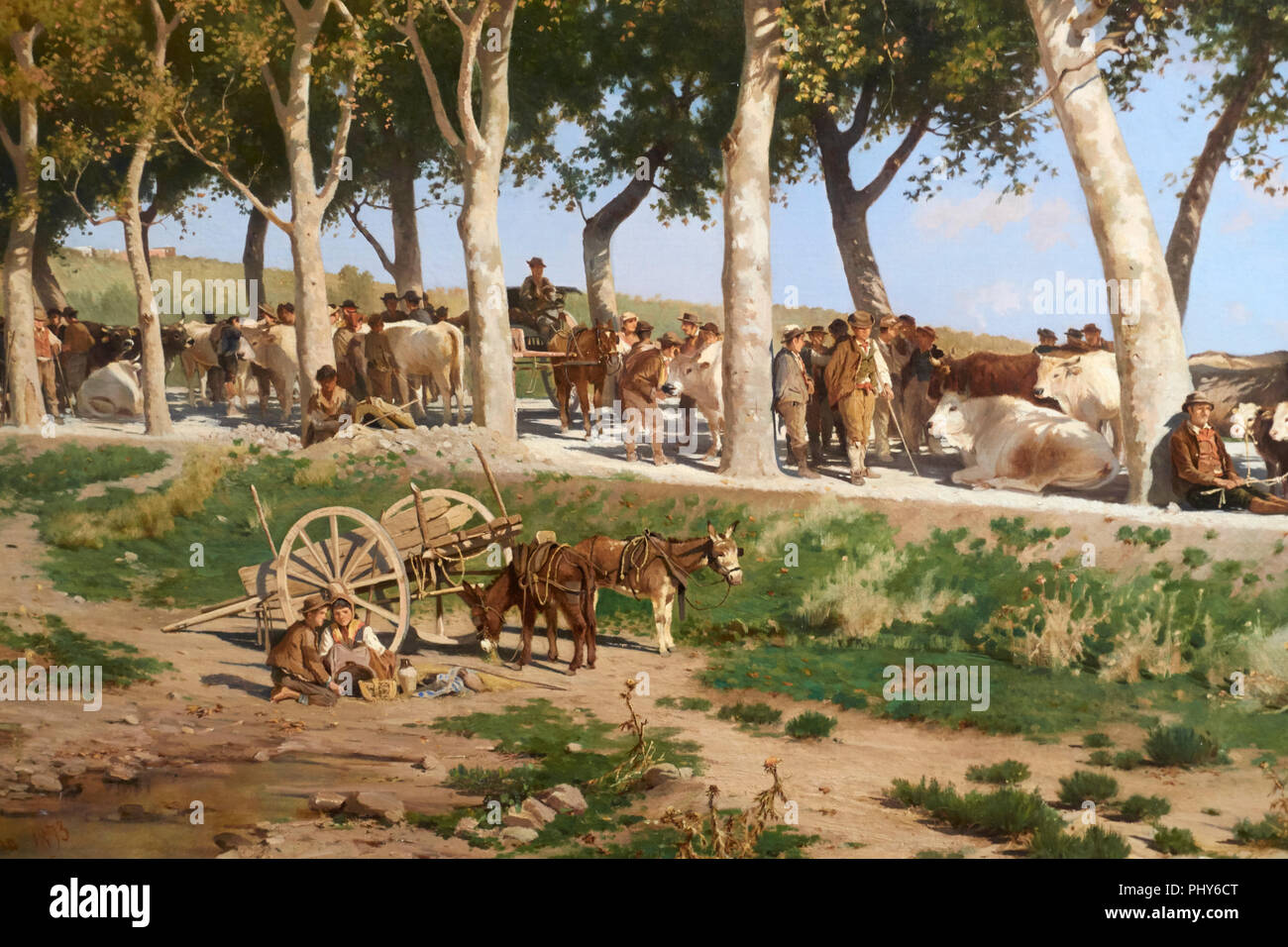 Rural scene in the country: farmers and cows are resting under the ...
