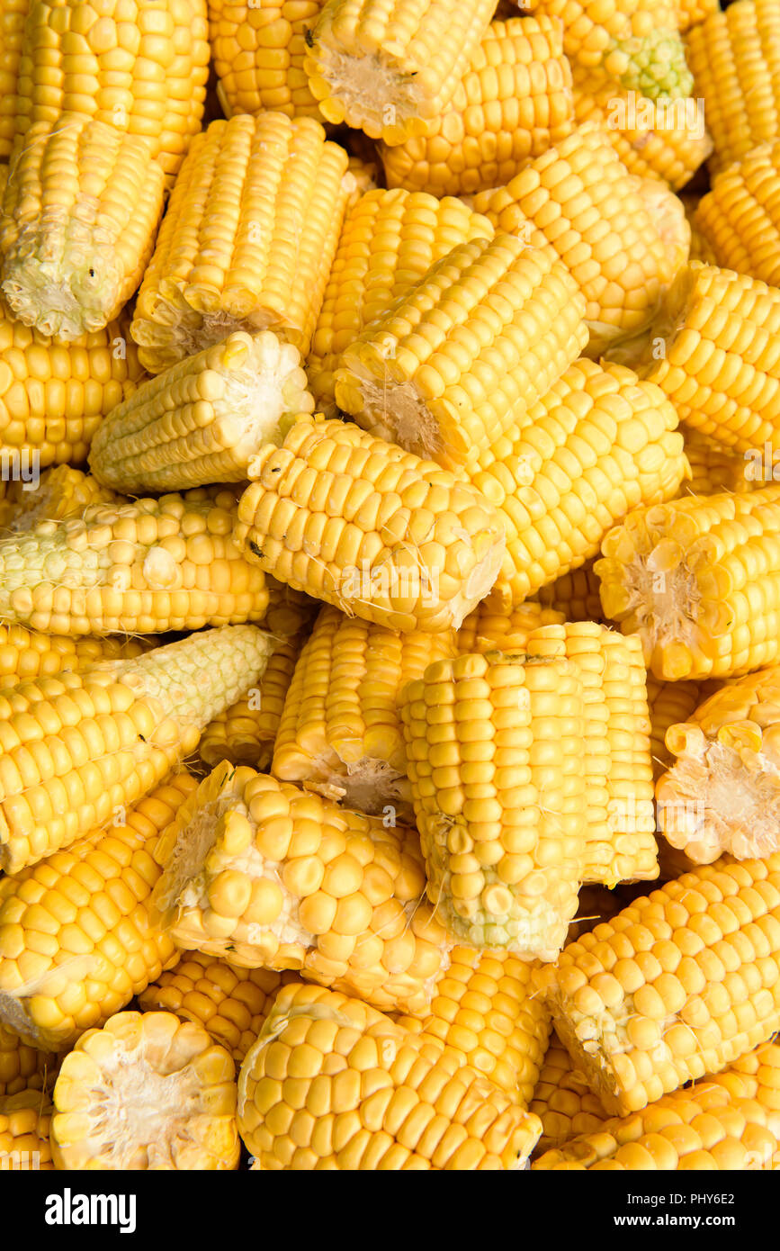 Corn of the cob Stock Photo - Alamy