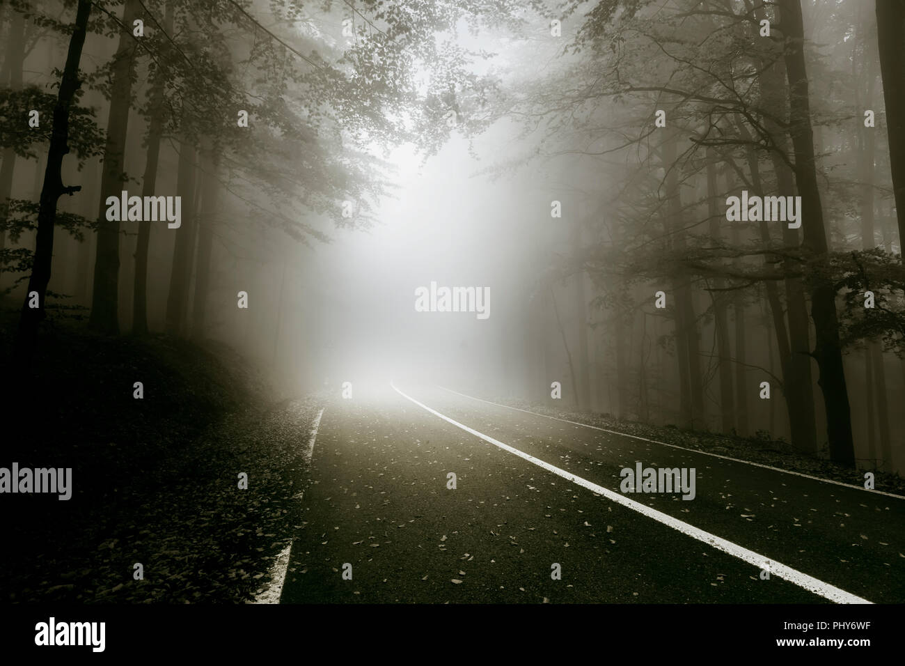 Mystic road hi-res stock photography and images - Alamy