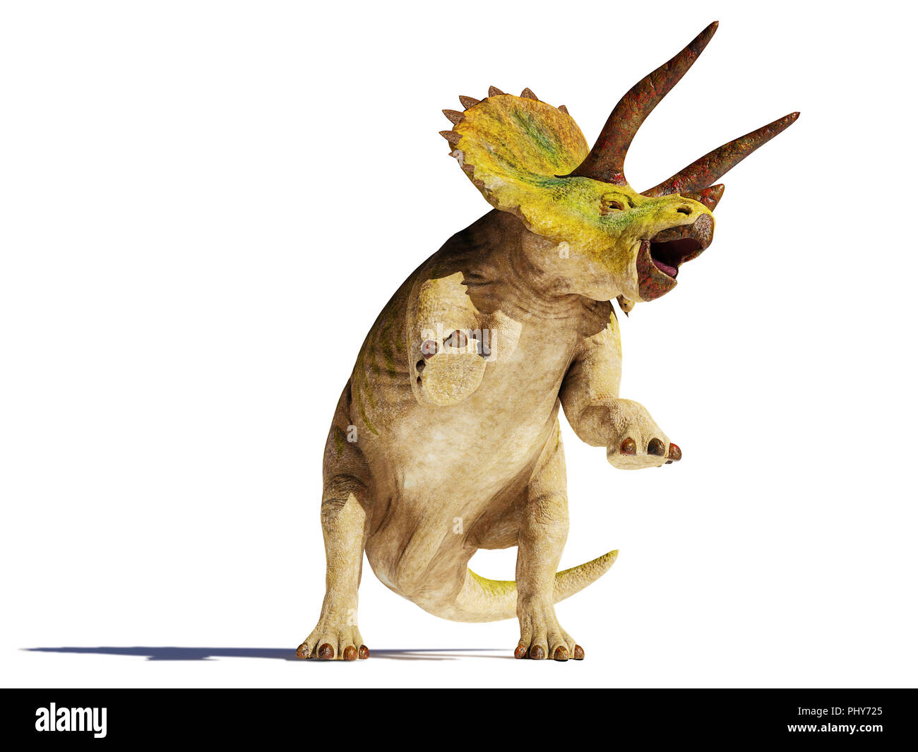 Triceratops horridus dinosaur in action (3d illustration isolated with ...