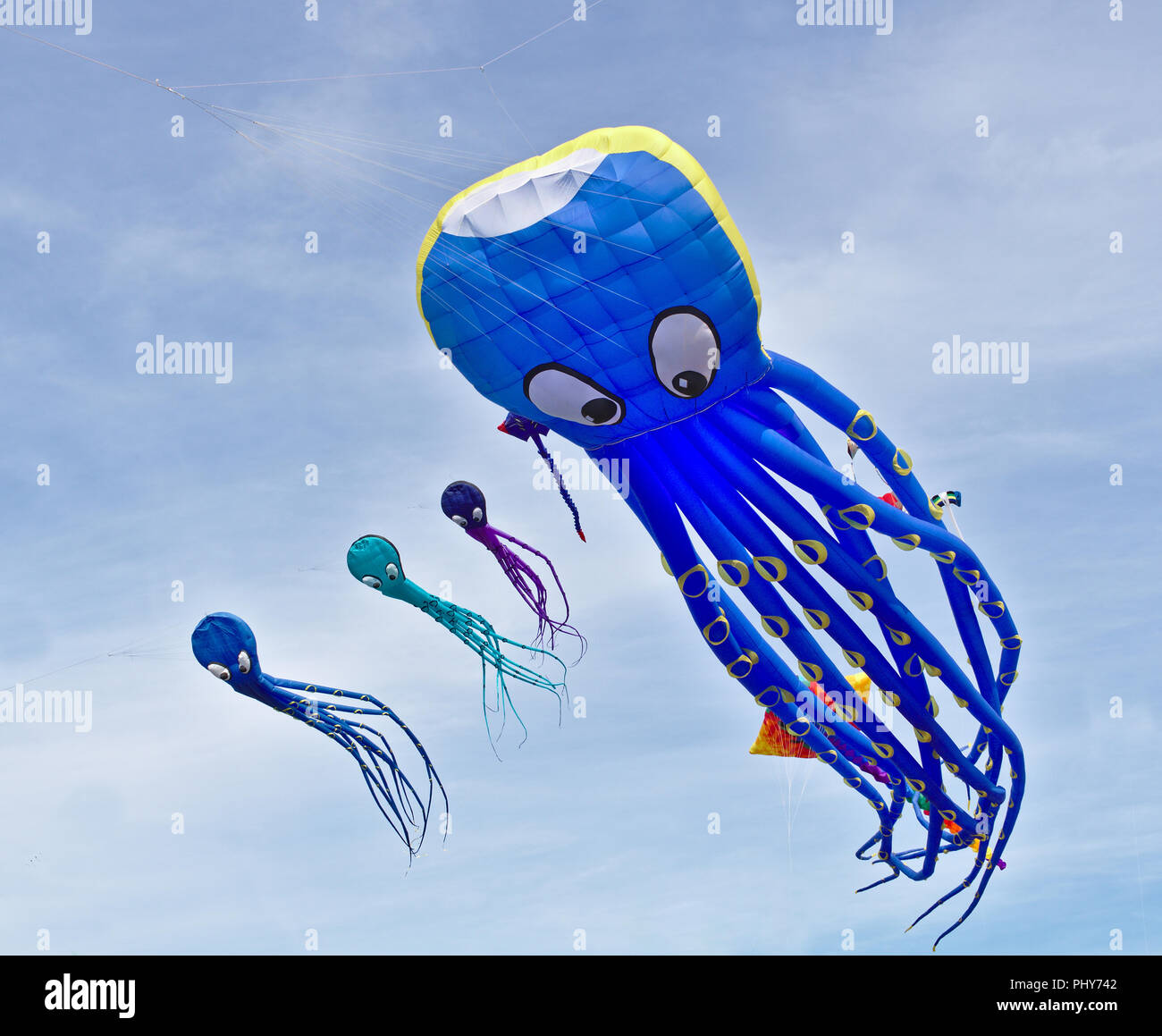 Giant octopus hi-res stock photography and images - Alamy