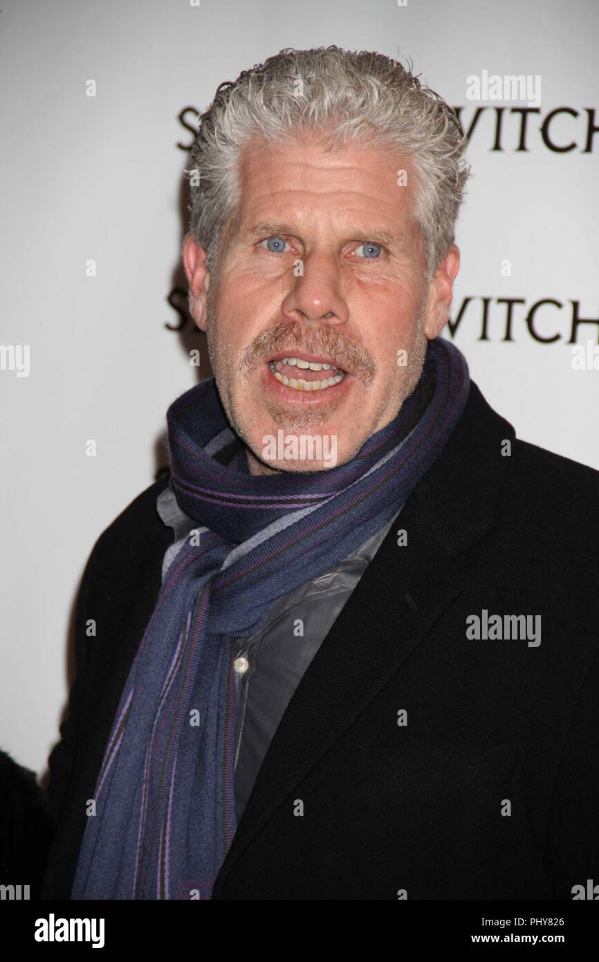 Sara Perlman's Instagram, Twitter & Facebook on IDCrawl