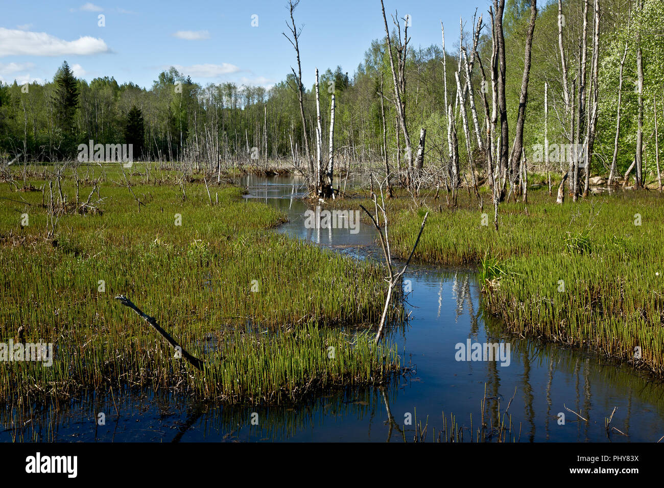 Latgale hi-res stock photography and images - Alamy