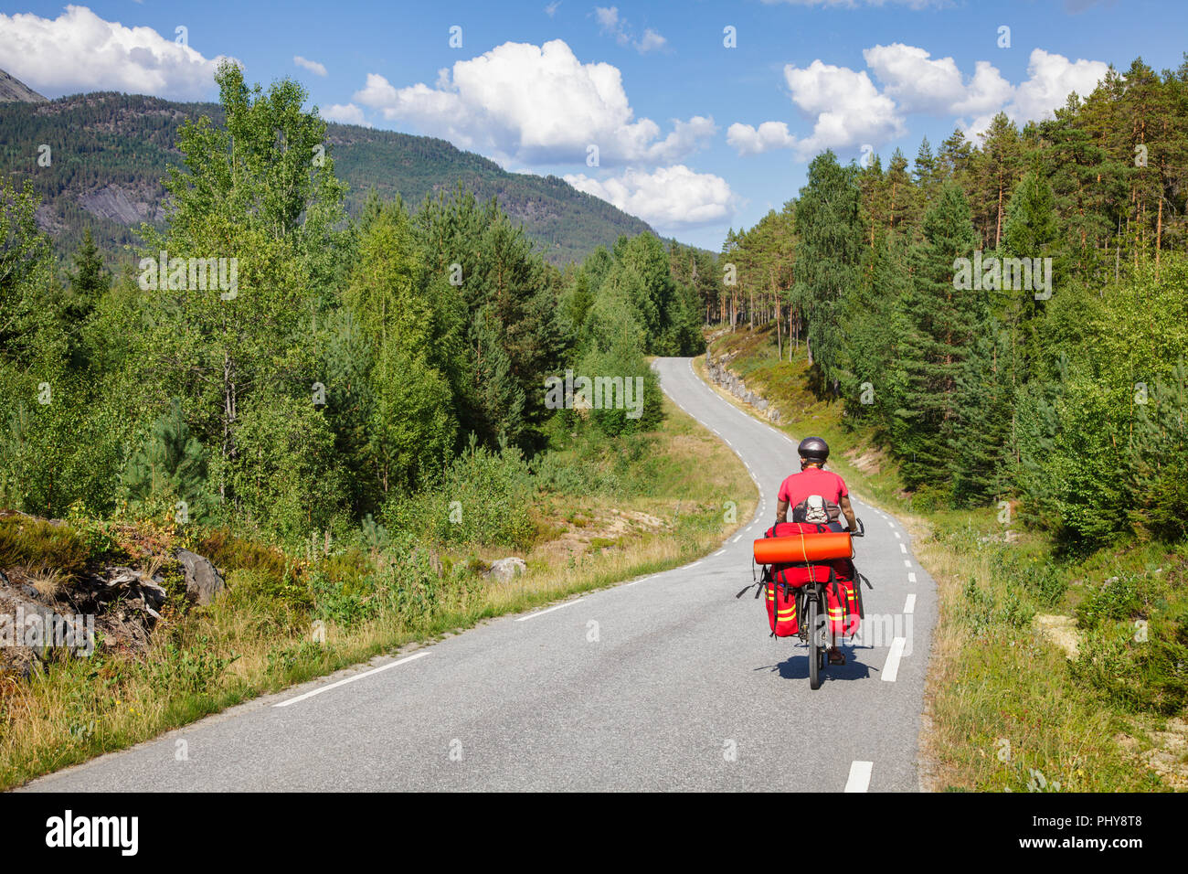 Traveling cyclist rides a cycle route along scenic forest road in ...