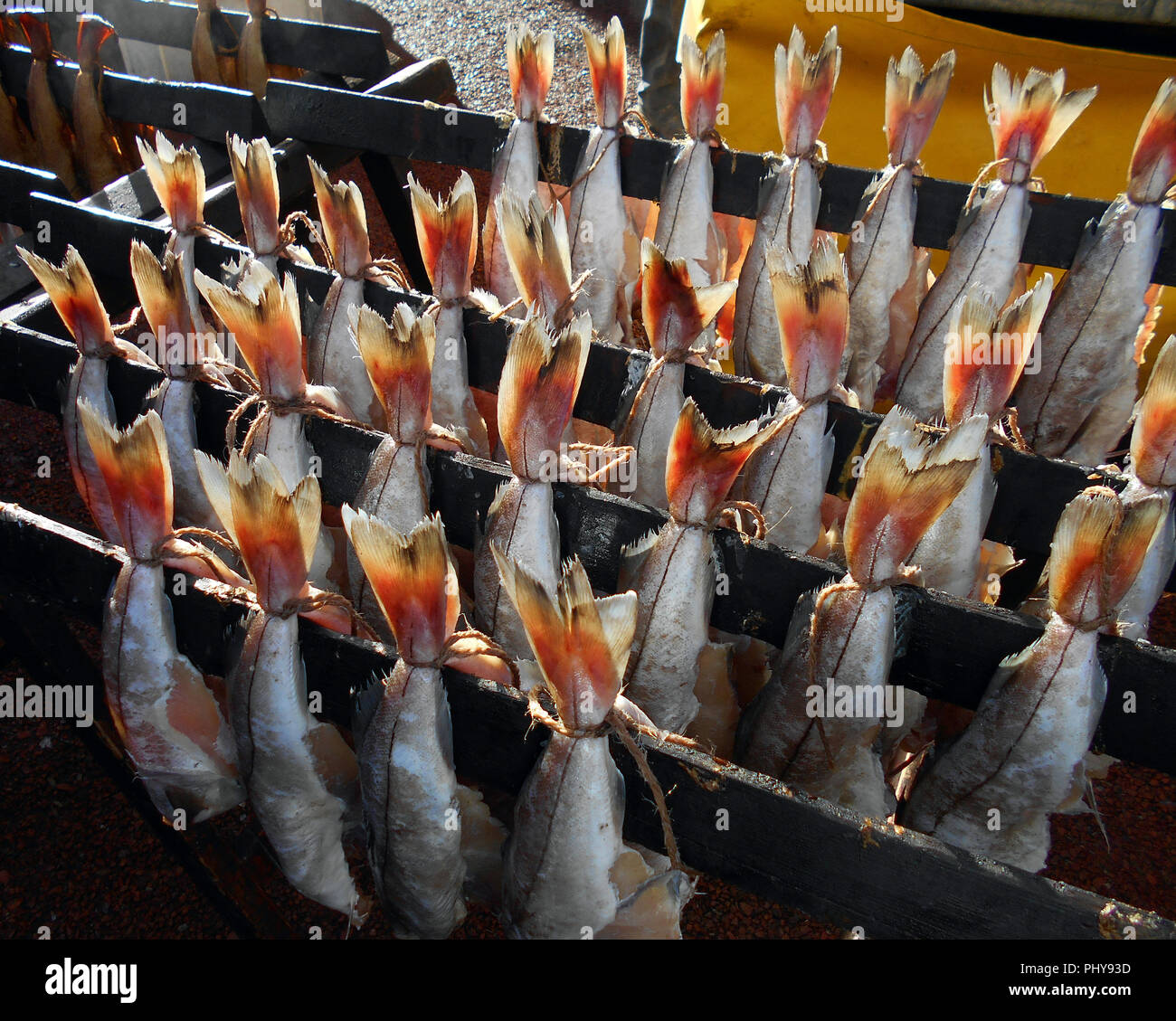 Rows of fresh haddock, on racks, are waiting to be wheeled over smoking ...