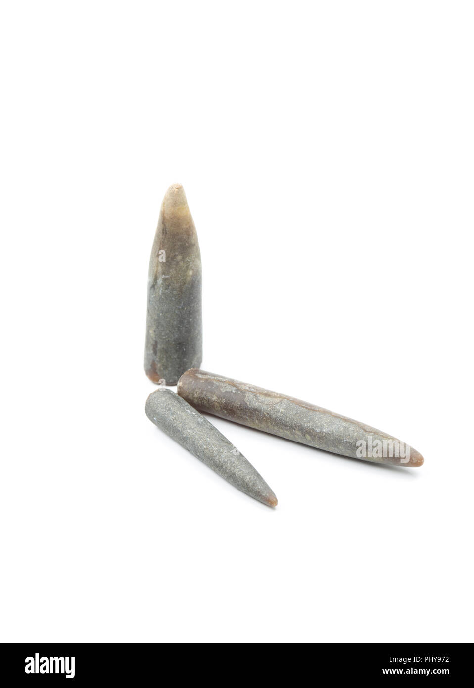 Belemnite hi-res stock photography and images - Alamy