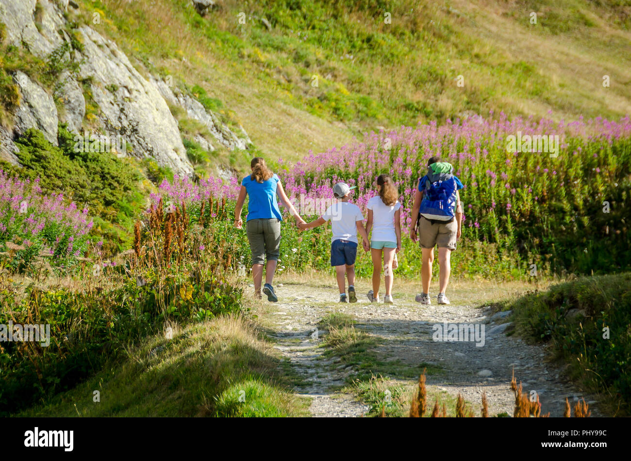 Woman walking between flowers hi-res stock photography and images - Alamy