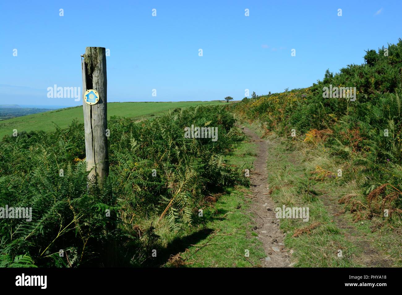 Frenni fawr hi-res stock photography and images - Alamy
