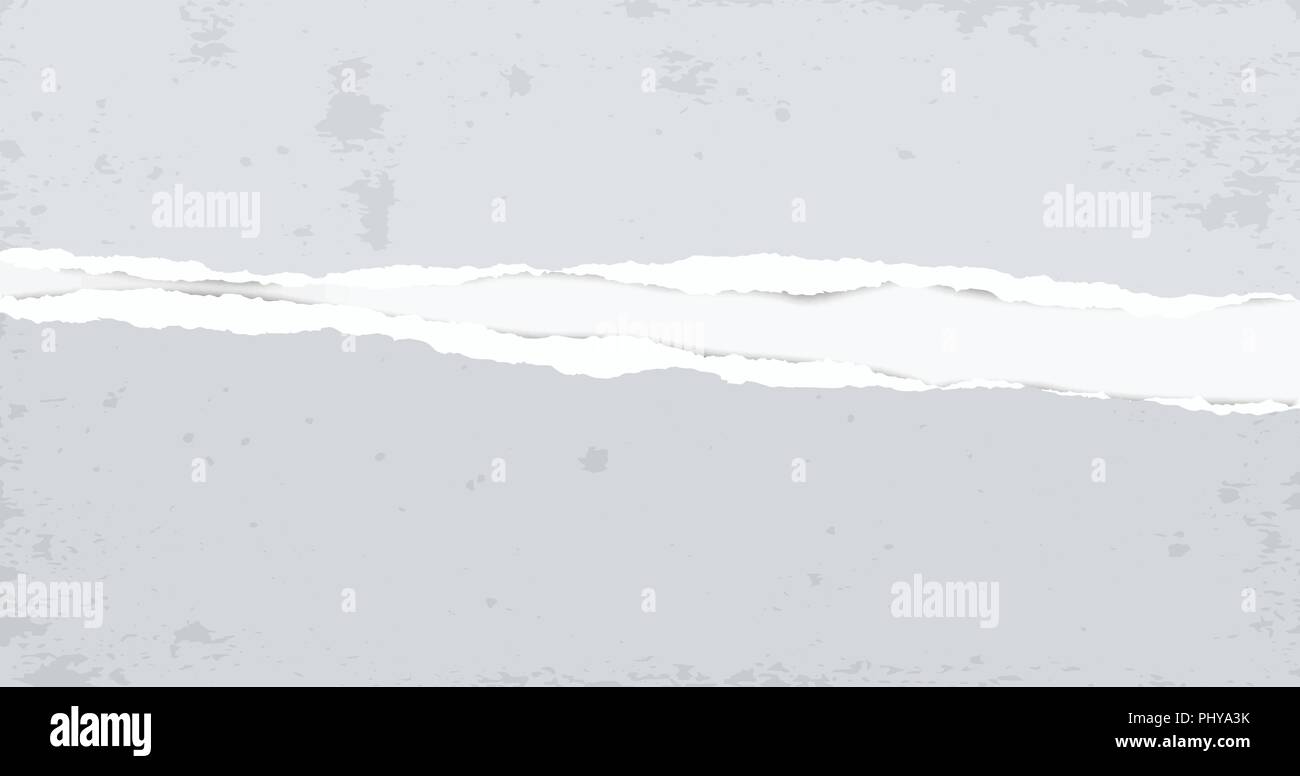 Torn grunge gray paper with stains is on white background Stock Vector ...