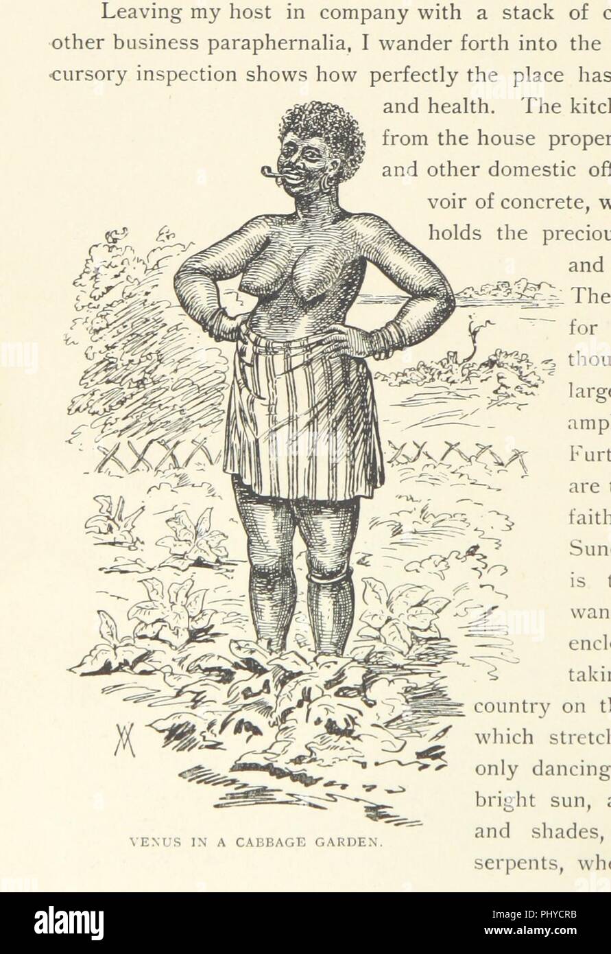 Image from page 48 of 'The Prisoner of Chiloane; or, with the ...
