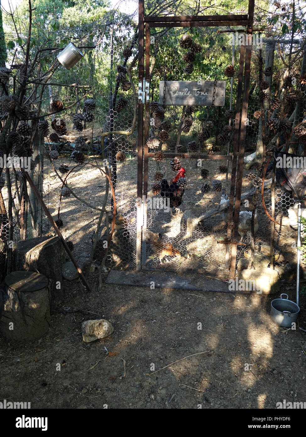 From the chicken coup hi-res stock photography and images - Alamy